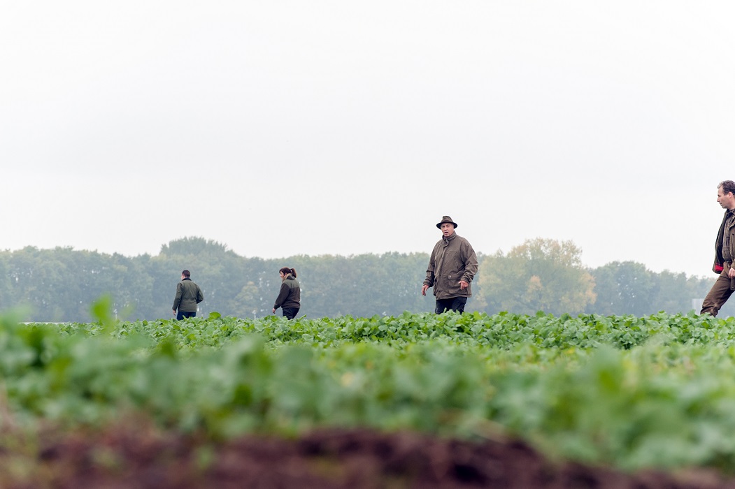 Antwoorden op Kamervragen over het bericht ‘Jagers: voorlopig geen e ... Antwoorden op Kamervragen over het bericht ‘Jagers: voorlopig geen e ...