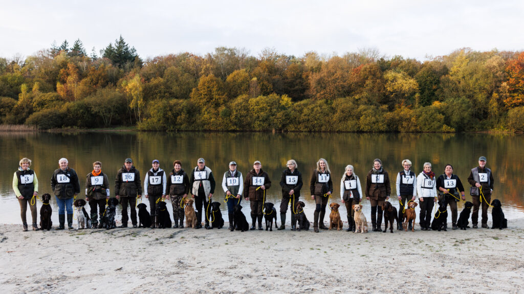 Winnaar Nimrod 2021 bekend: Labrador Retriever Cate - De Jagersvereniging Winnaar Nimrod 2021 bekend: Labrador Retriever Cate - De Jagersvereniging