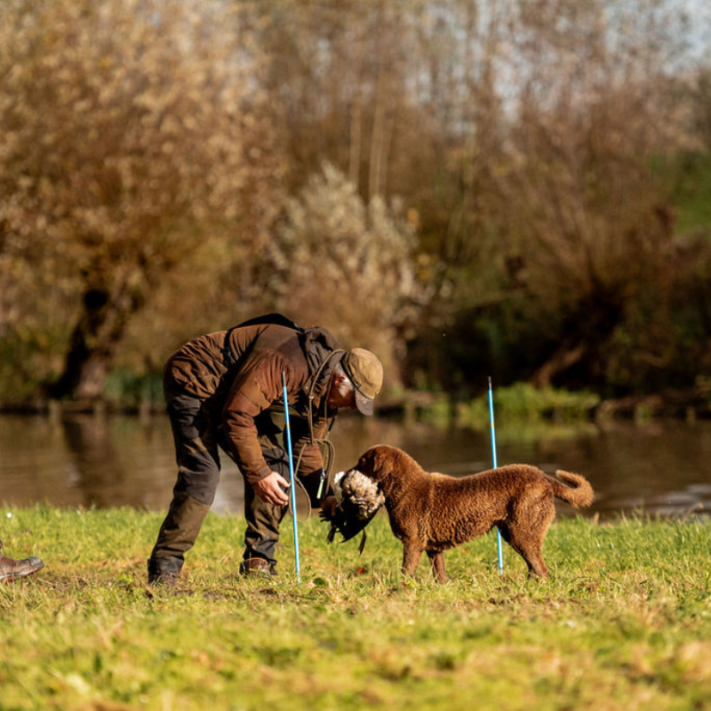 Locatie nationaal kampioenschap voor apporterende jachthonden bekend - Koninklijke Nederlandse ...